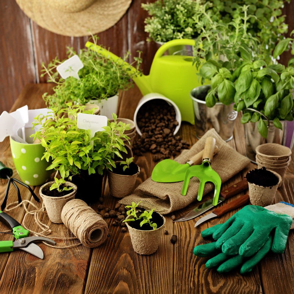 Venturing Into the Profitable Herbal Business - Retina Post